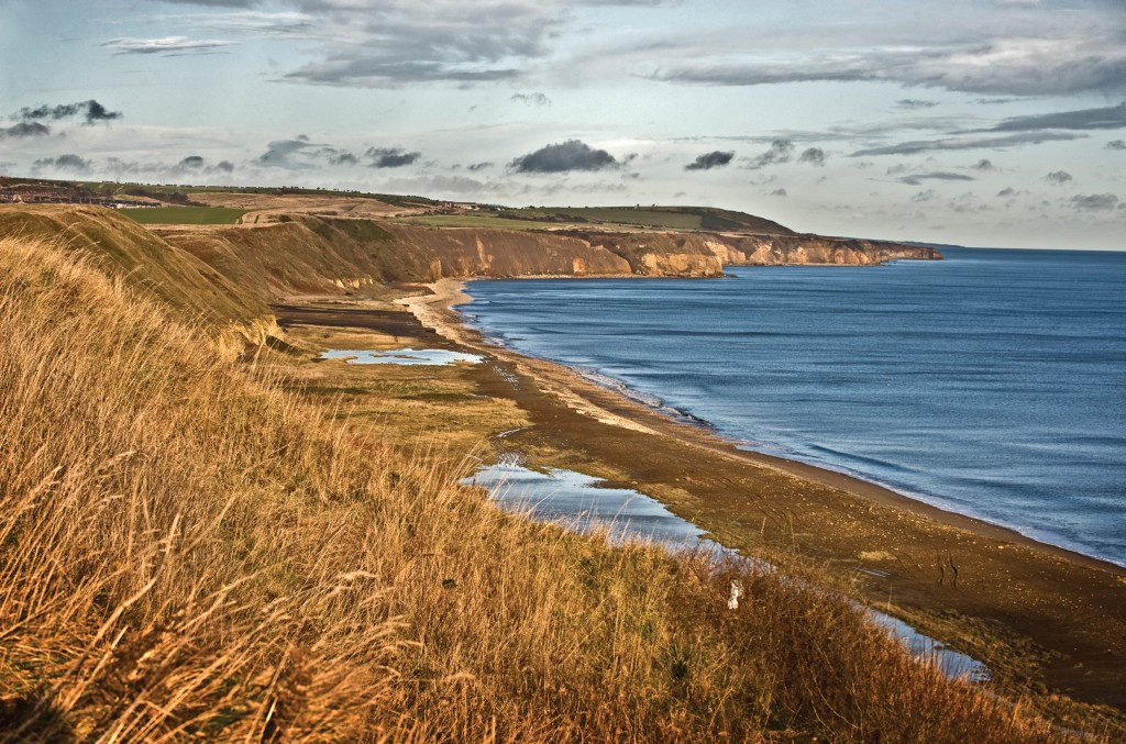 Horden coast